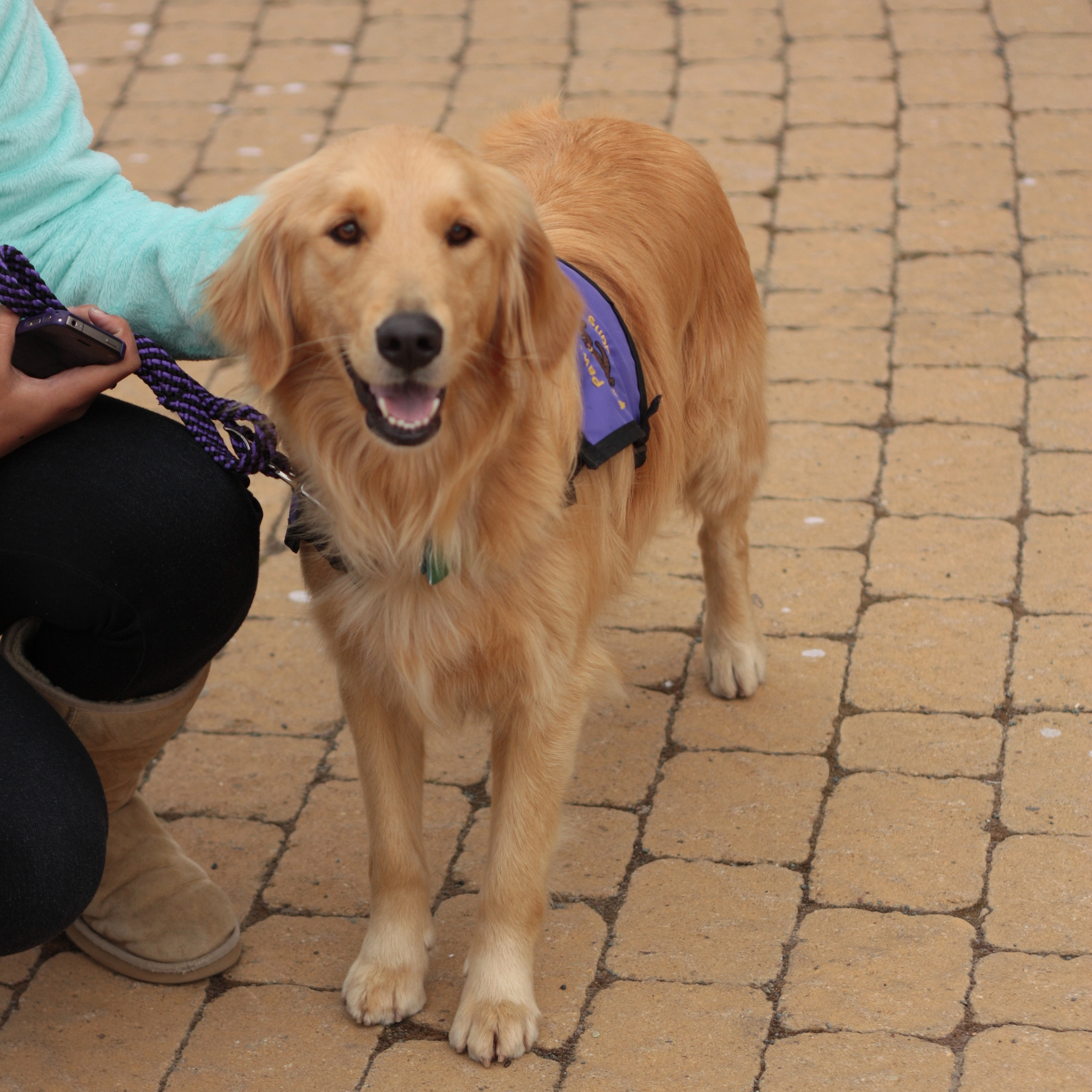 The Amazing Healing Powers of Animals: Caleb’s Story – My Good Time Stories