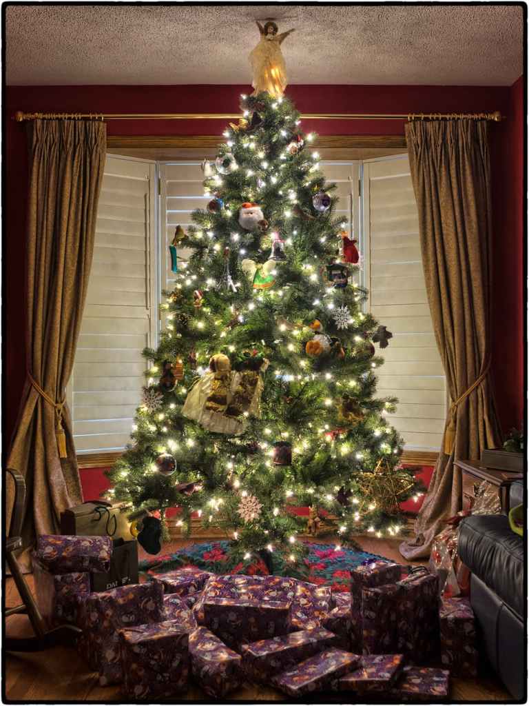 Lessons From A Christmas Tree – My Good Time Stories